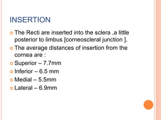 Extraocular Muscles and its course in the eye | PPTX