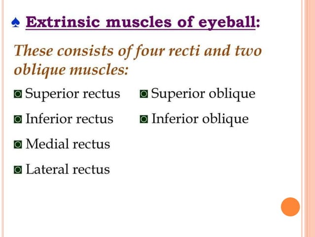 Extraocular Muscles and its course in the eye | PPT