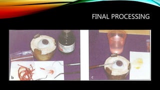 Extra oral defects | PPTX