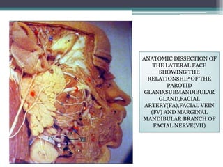 Extraoral mandibular approaches | PPTX