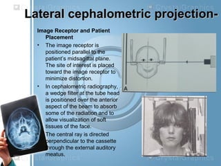Extraoral radiography | PPT