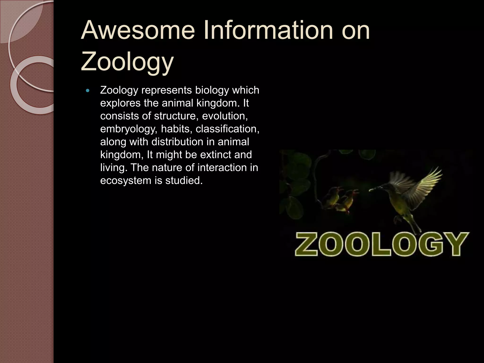 Extraordinary Facts about Life Science Assignment | PPTX | Biological ...