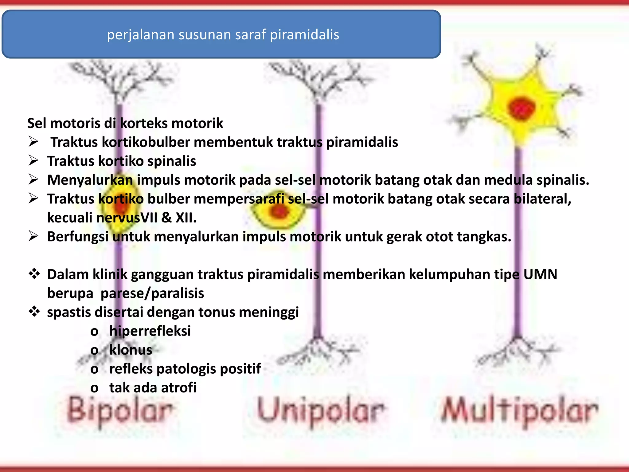 Extrapiramidalis | PPT