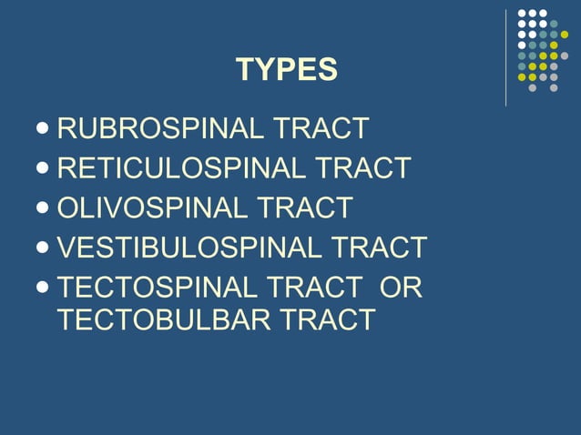 Extrapyramidal tracts and disorders | PPT