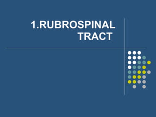 Extrapyramidal tracts and disorders | PPT
