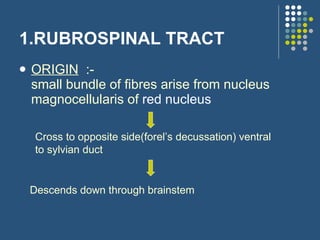 Extrapyramidal tracts and disorders | PPT