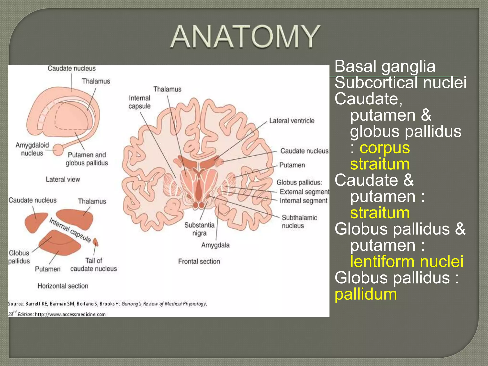 Extrapyramidal disorders | PPTX