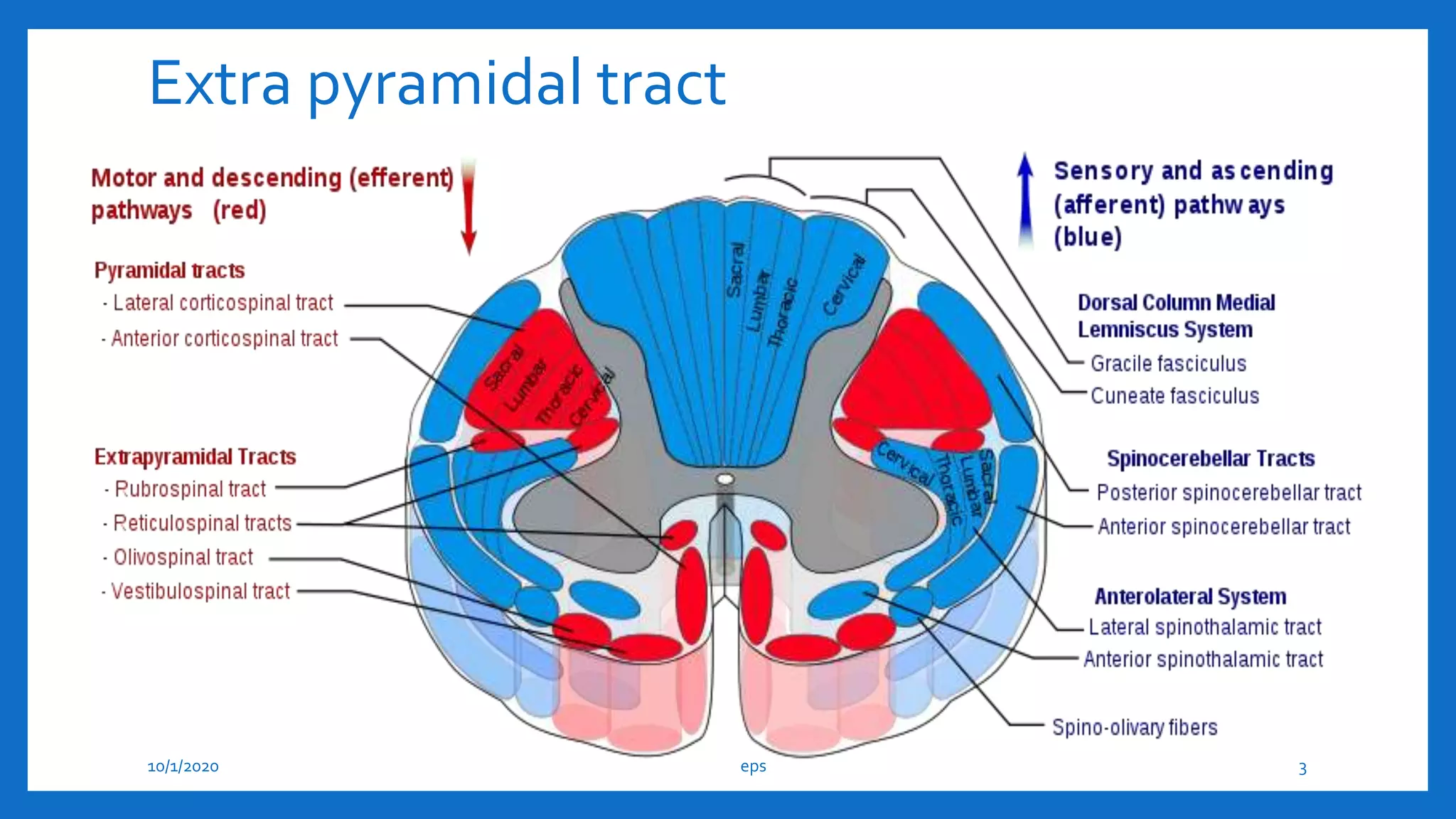 Extra pyramidal side effects | PPTX