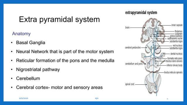 Extra pyramidal side effects | PPTX