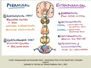 Extrapyramidal Symptoms