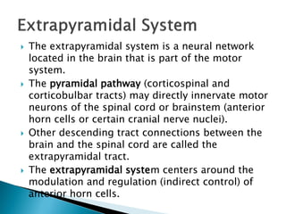 Extrapyramidal system.pdf very good details | PDF