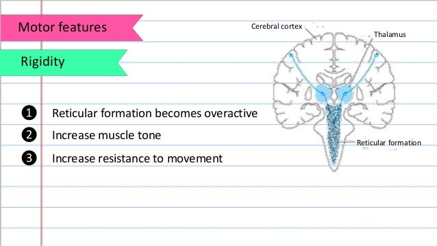 Extrapyramidal system - parkinson's disease