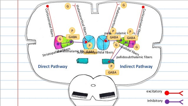 Extrapyramidal Motor Pathway Impremedianet