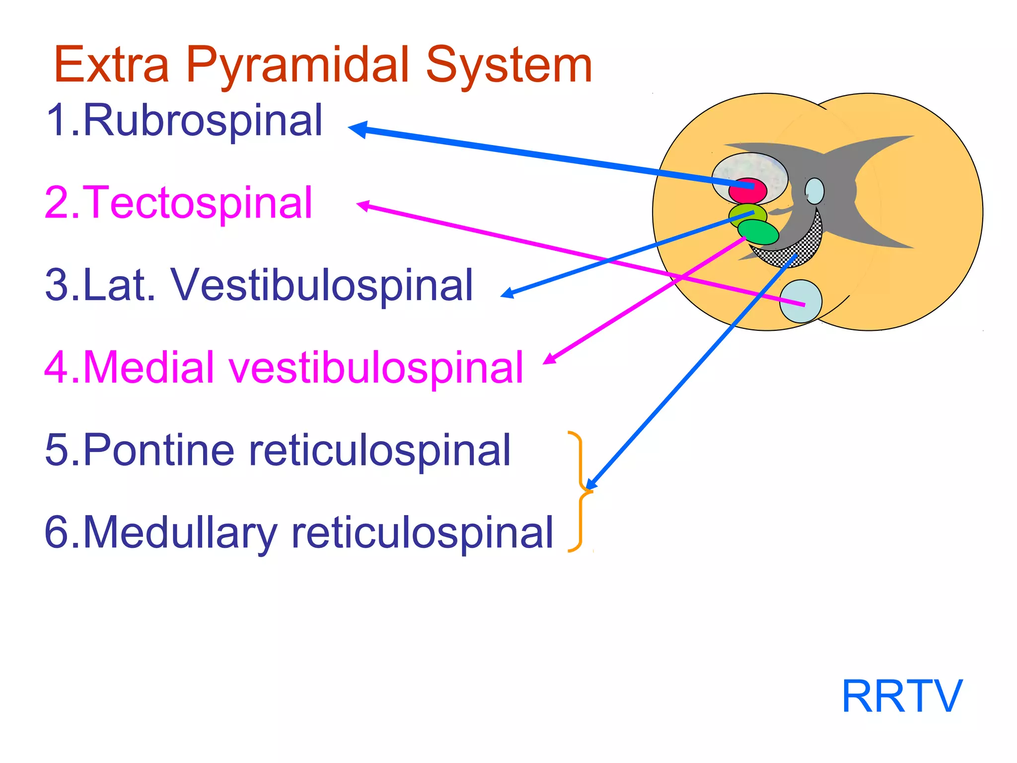Extrapyramidal system by Dr. Sunita M. Tiwale, Prof in Physiology,D. Y ...