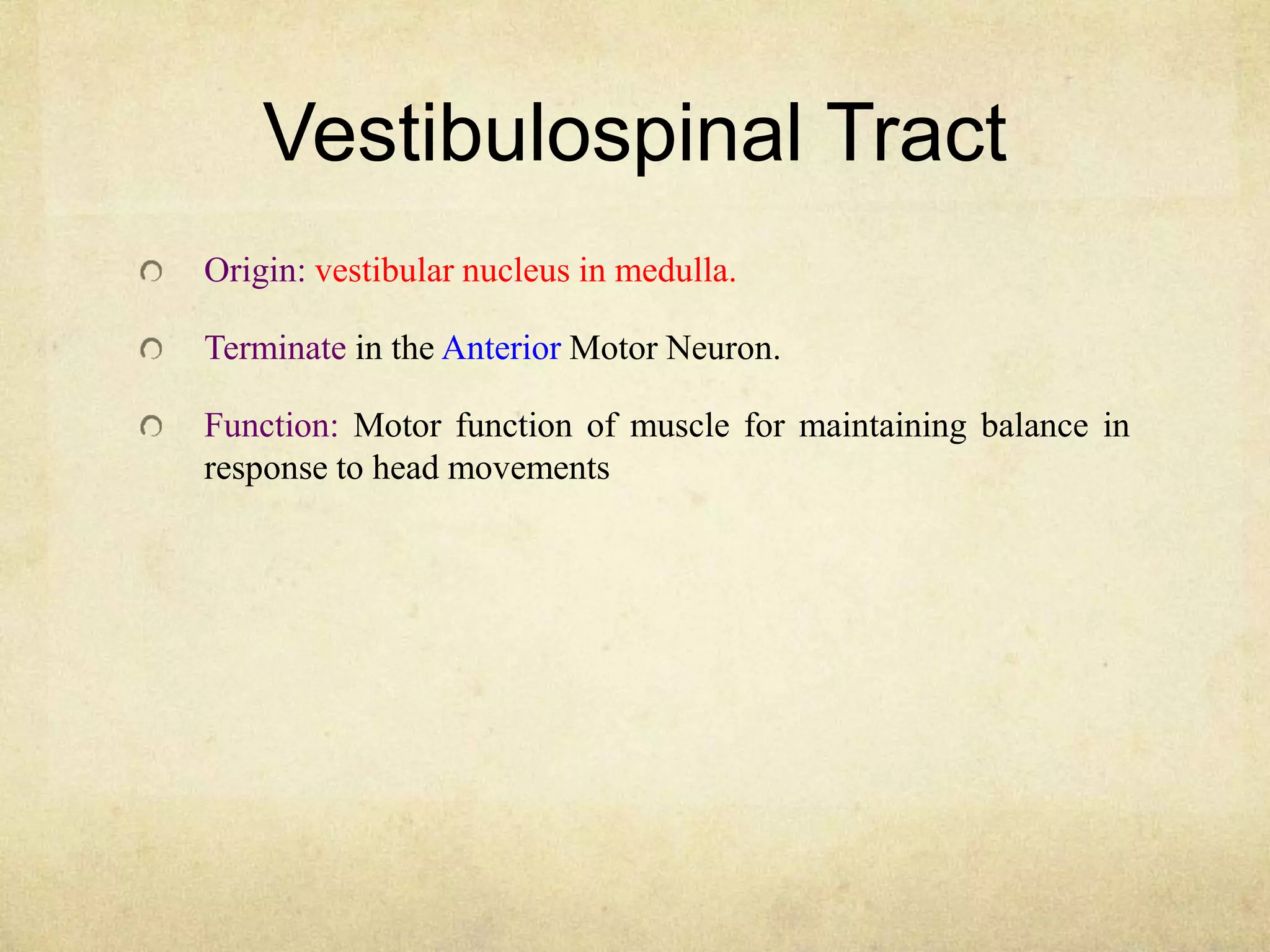 Extrapyramidal tract | PPT