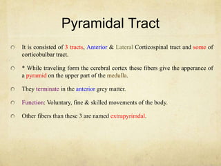 Extrapyramidal tract | PPT