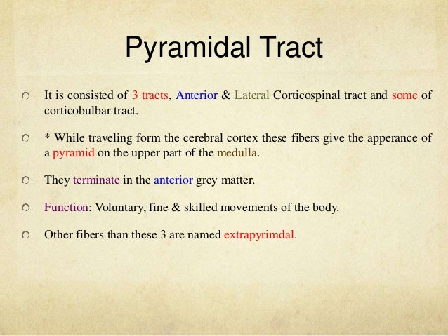 Pyramidal And Extrapyramidal Tracts Pdf Pyramidal And Extrapyramidal