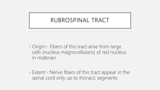 Extrapyramidal tract.HR