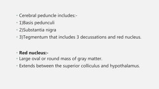 Extrapyramidal tract.HR