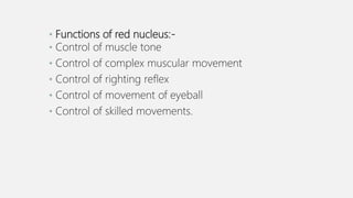 Extrapyramidal tract.HR
