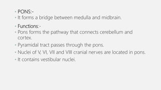 Extrapyramidal tract.HR