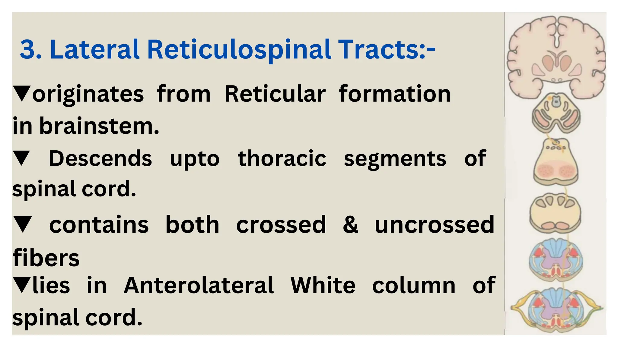 Extra Pyramidal Tracts of the decending tracts.pptx