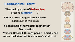 Extra Pyramidal Tracts of the decending tracts.pptx