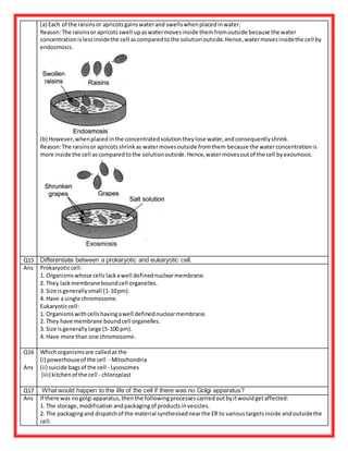 extra questions - THE FUNDAMENTAL UNIT OF LIFE | DOCX