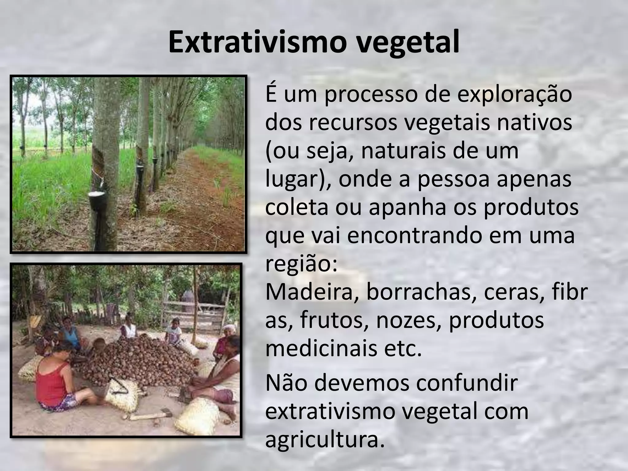 Extrativismo | PPTX