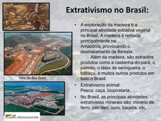 Extrativismo | PPTX