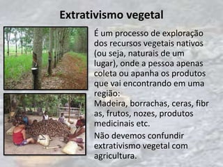Extrativismo | PPTX