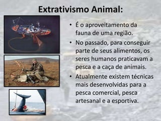 Extrativismo | PPTX