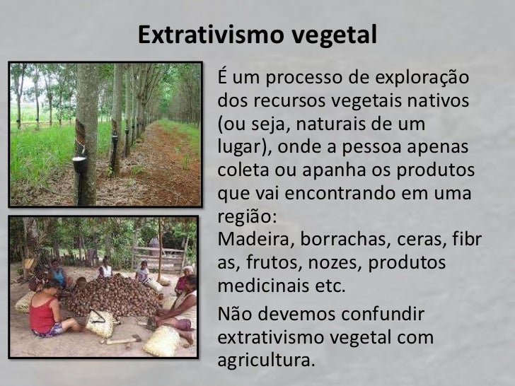 Extrativismo