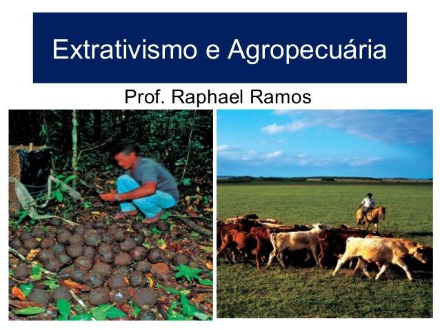 Extrativismo e agropecuária