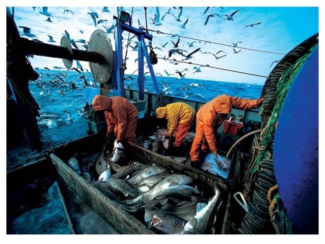 Extrativismo e agropecuária