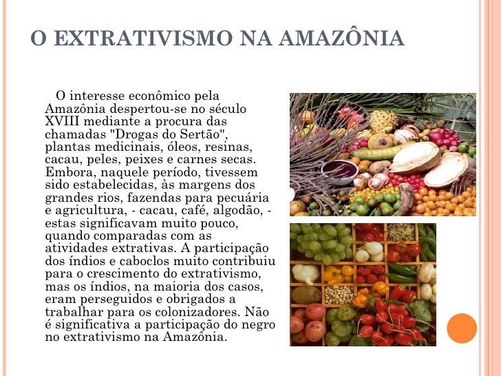 Extrativismo na amazonia