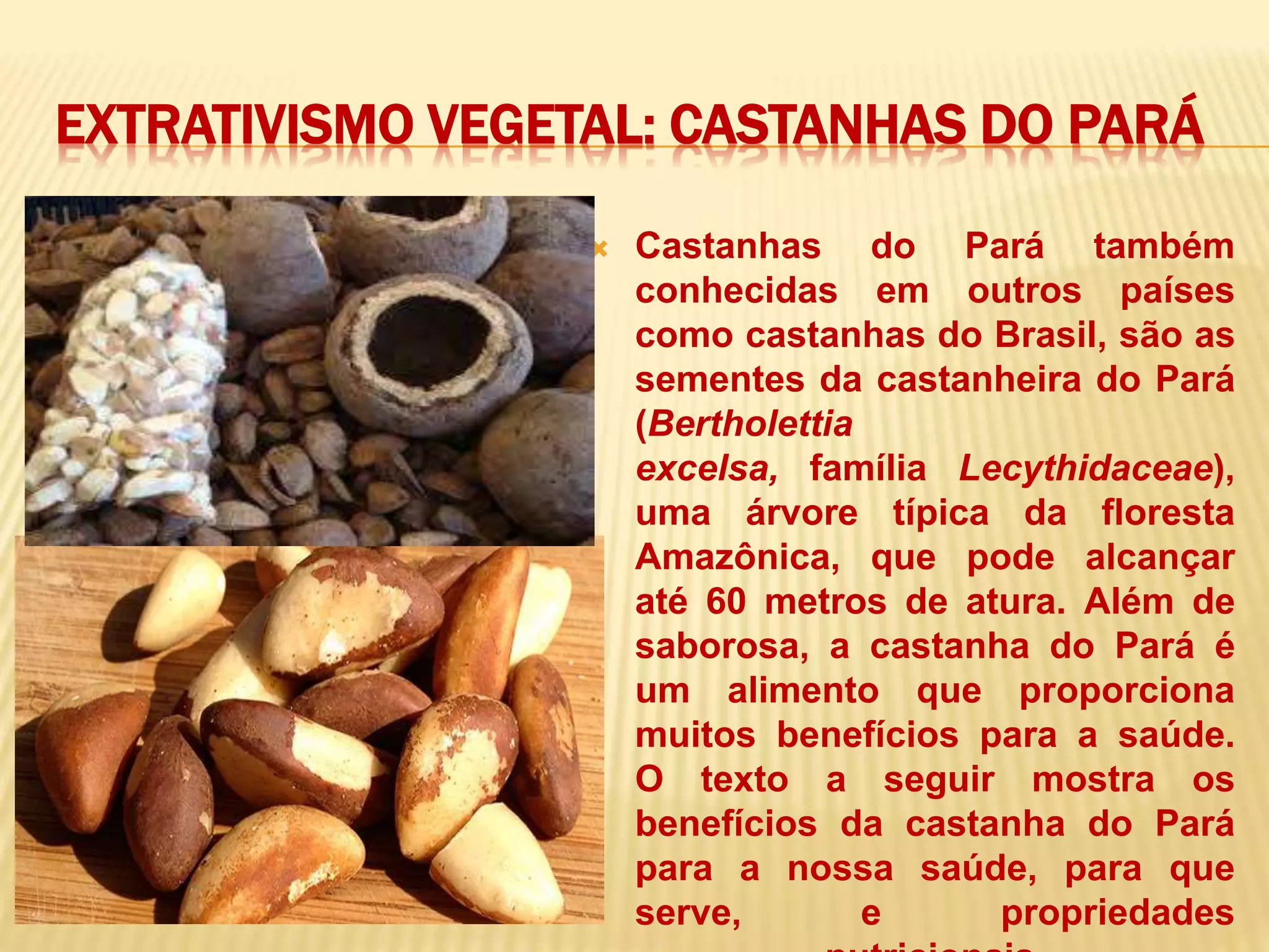 Extrativismo vegetal e mineral | PPTX