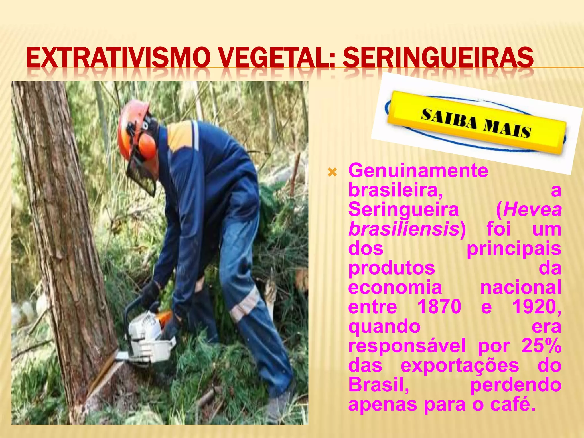 Extrativismo vegetal e mineral | PPTX