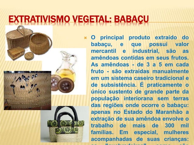 Extrativismo vegetal e mineral