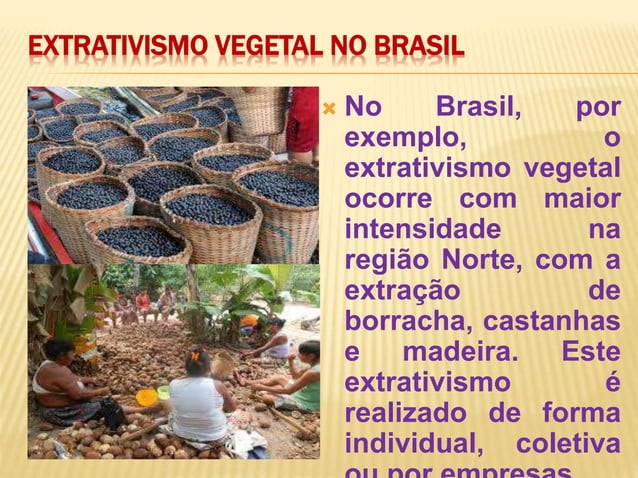 Extrativismo vegetal e mineral