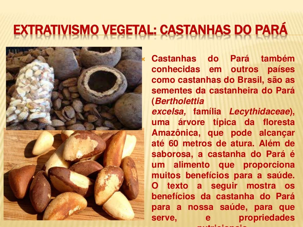 Extrativismo vegetal e mineral