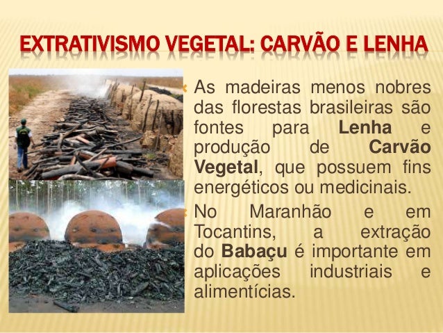 Extrativismo vegetal e mineral