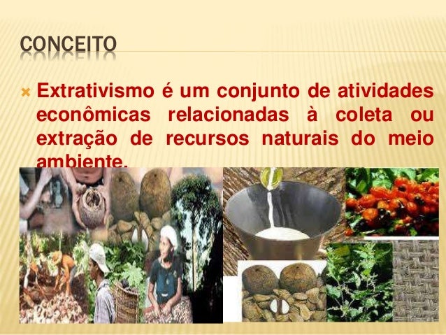 Extrativismo vegetal e mineral