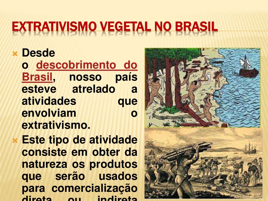 Extrativismo vegetal e mineral