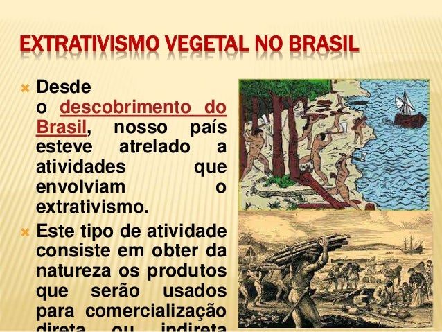 O Extrativismo Do Sud Este Palermo