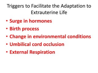 Extrauterine adaptation of newborn .pptx