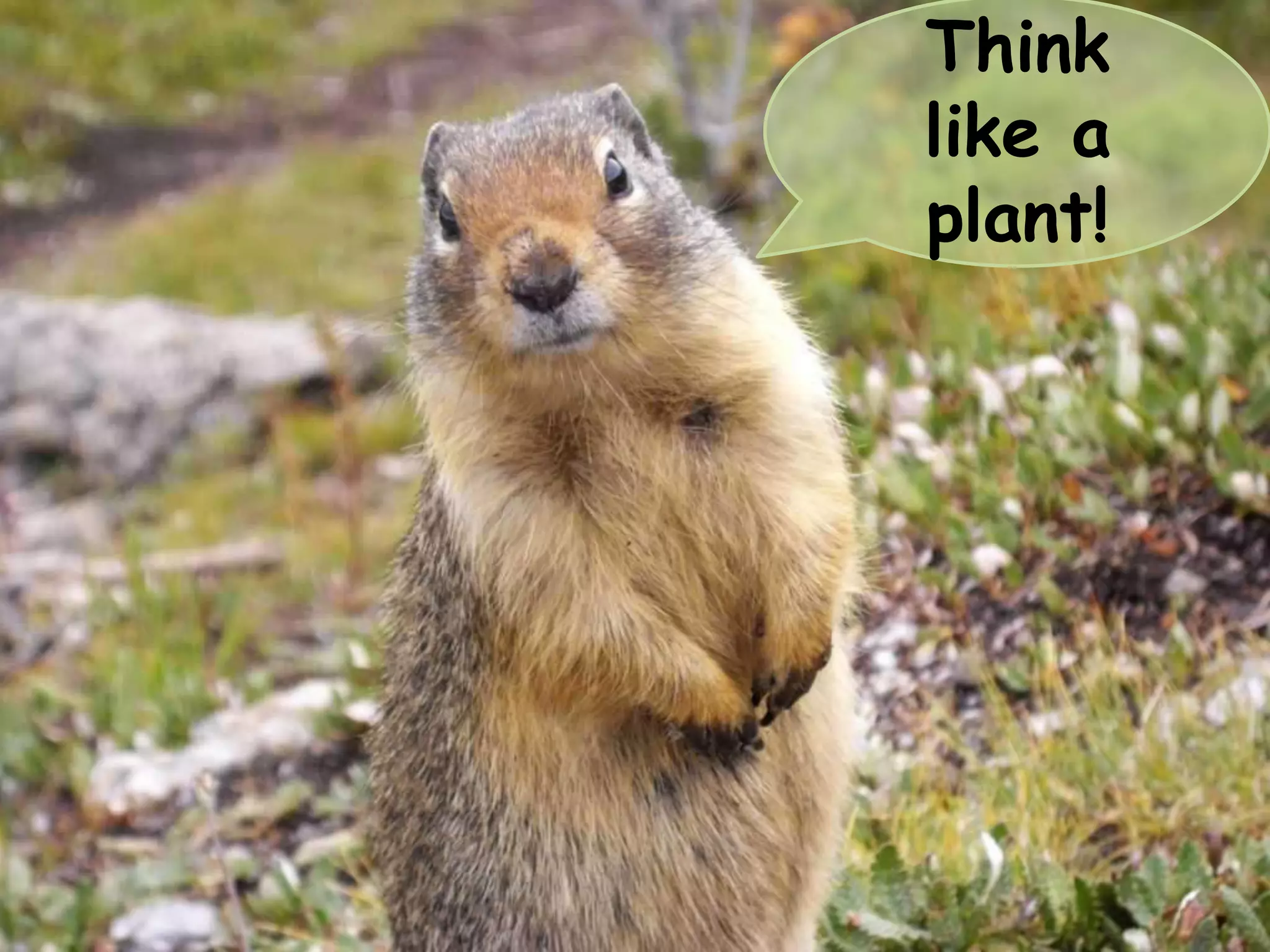 Extreme adaptation 12 | PPTX