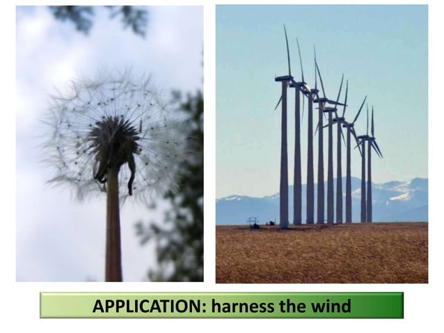 Extreme adaptation 12 | PPTX