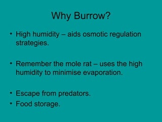 Extreme habitats | PPT