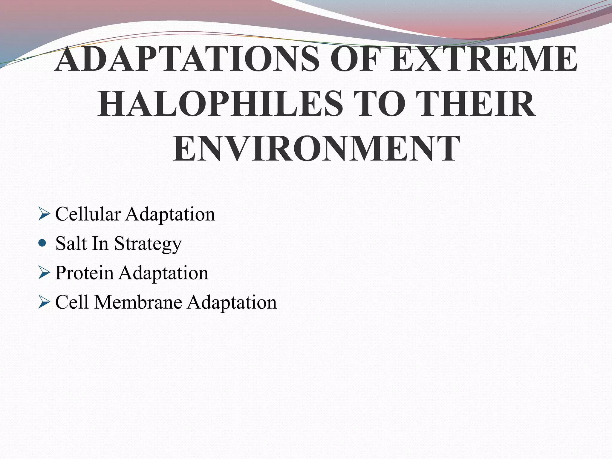 Extreme halophilic archea | PPTX